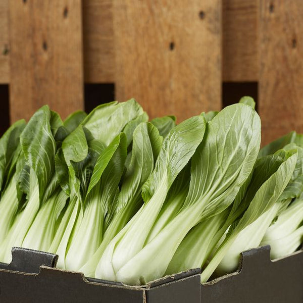 Buy 【2 X ORGANIC PAK CHOY (SIO PAI CHYE) 200G】 from Trusted ...
