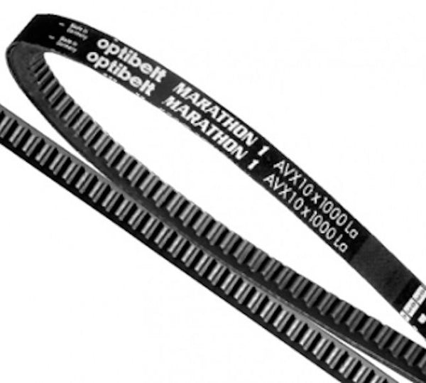 Buy 【OPT AVX 10 1125 MARATHON 1 - MARATHON 1 FAN BELT】 from Trusted ...