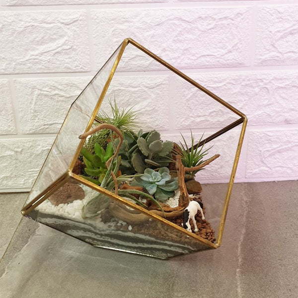 Buy 【Geo Square Terrarium】 from Trusted Distributors & Wholesalers ...