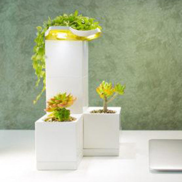 Buy 【Modular Smart Pot - Sunshine Indoor】 from Trusted Distributors ...